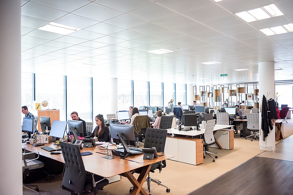 Exploring Real-Time Feedback Mechanisms in the Workplace